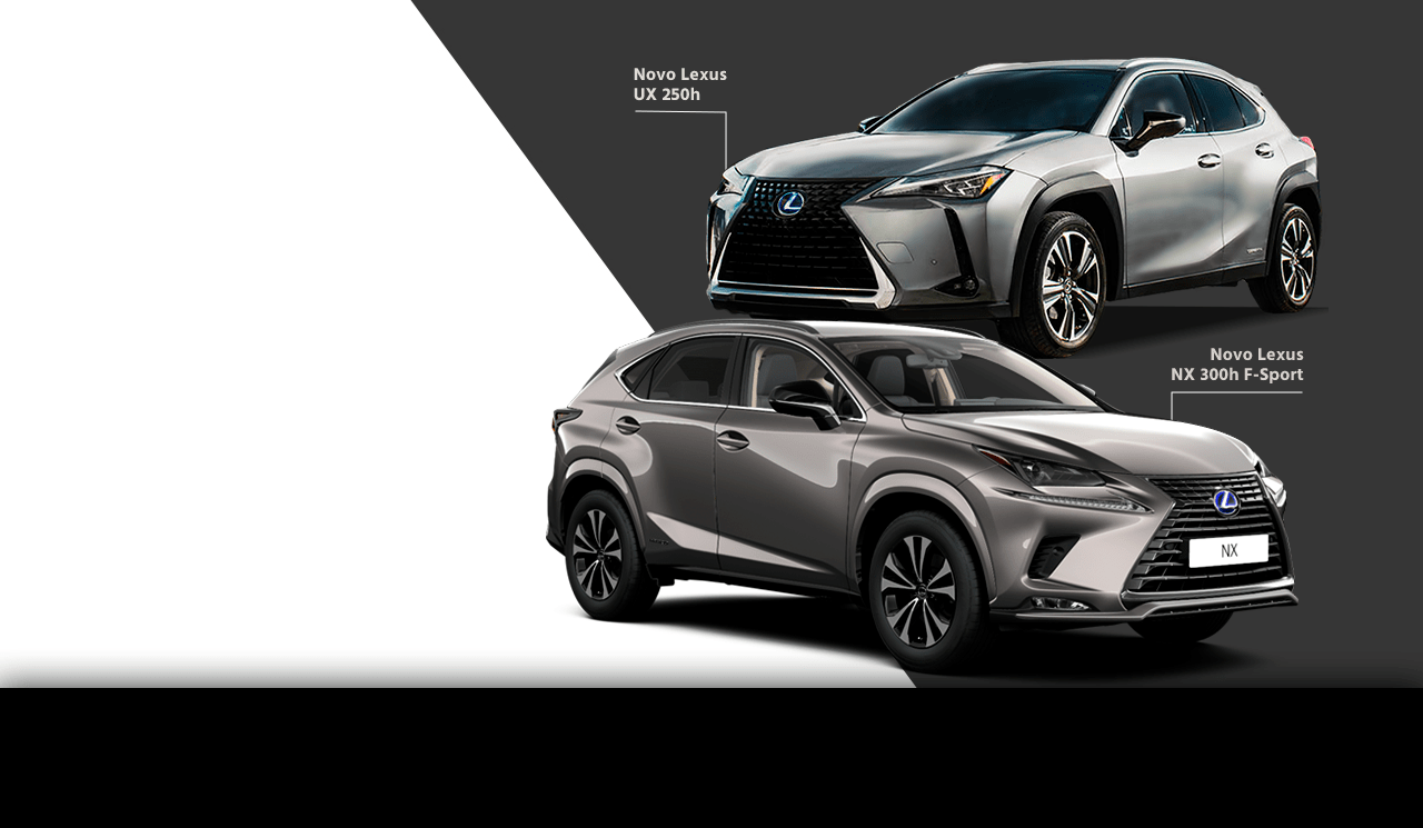 Home - Lexus Collection